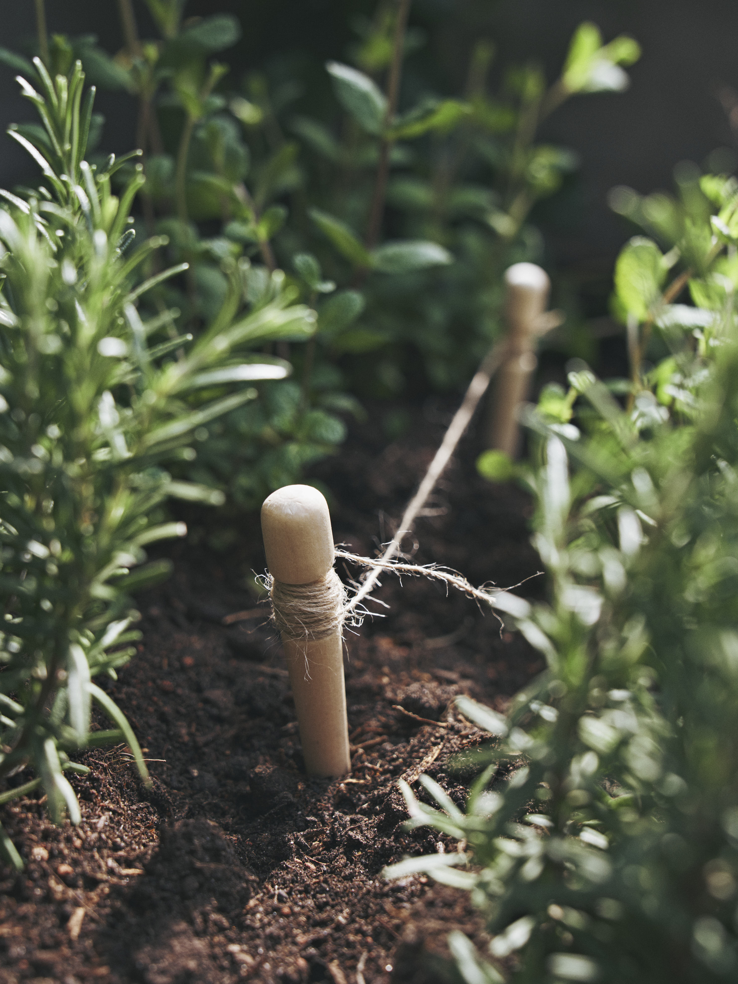 Spring in the garden | Søstrene Grene