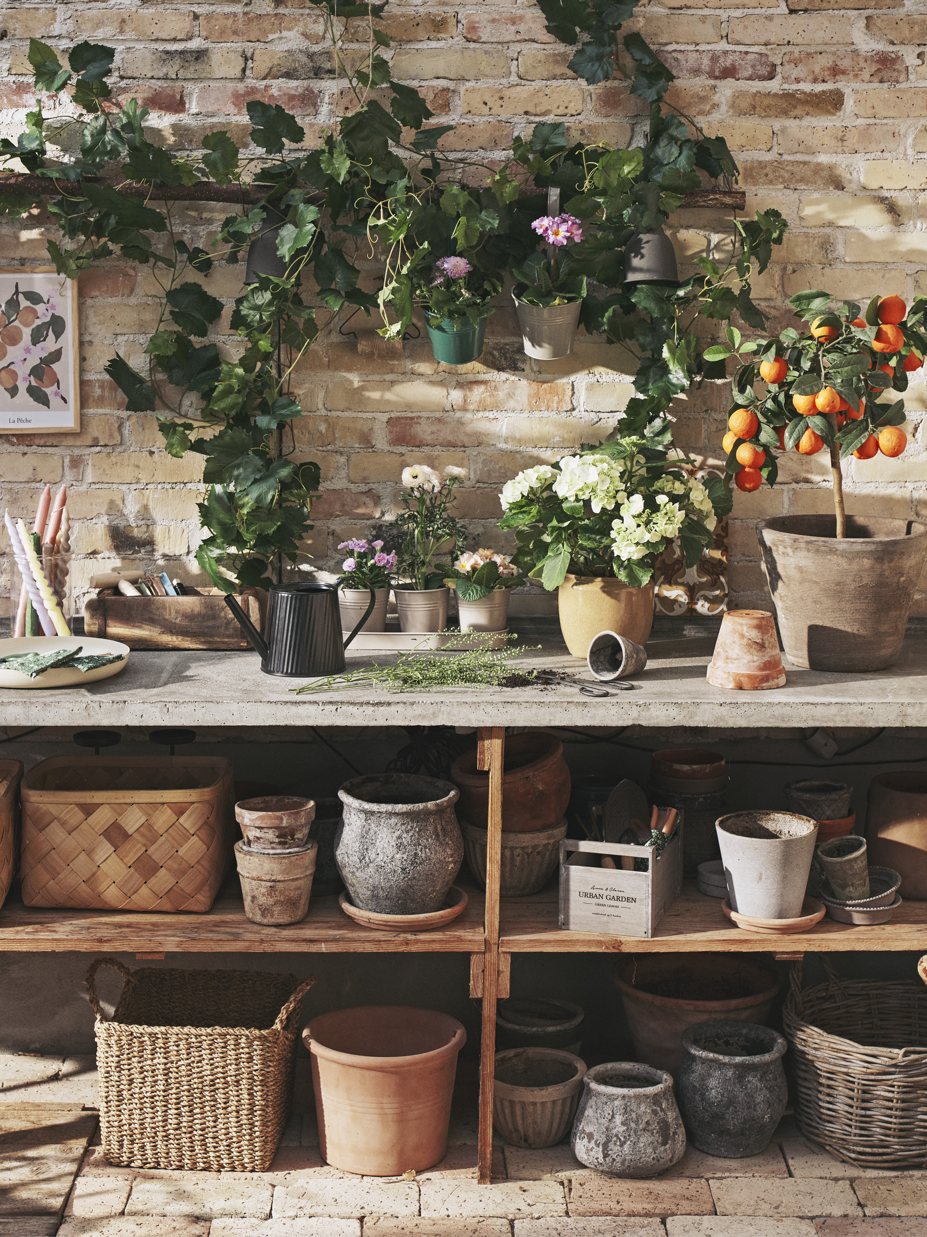 Spring in the garden | Søstrene Grene